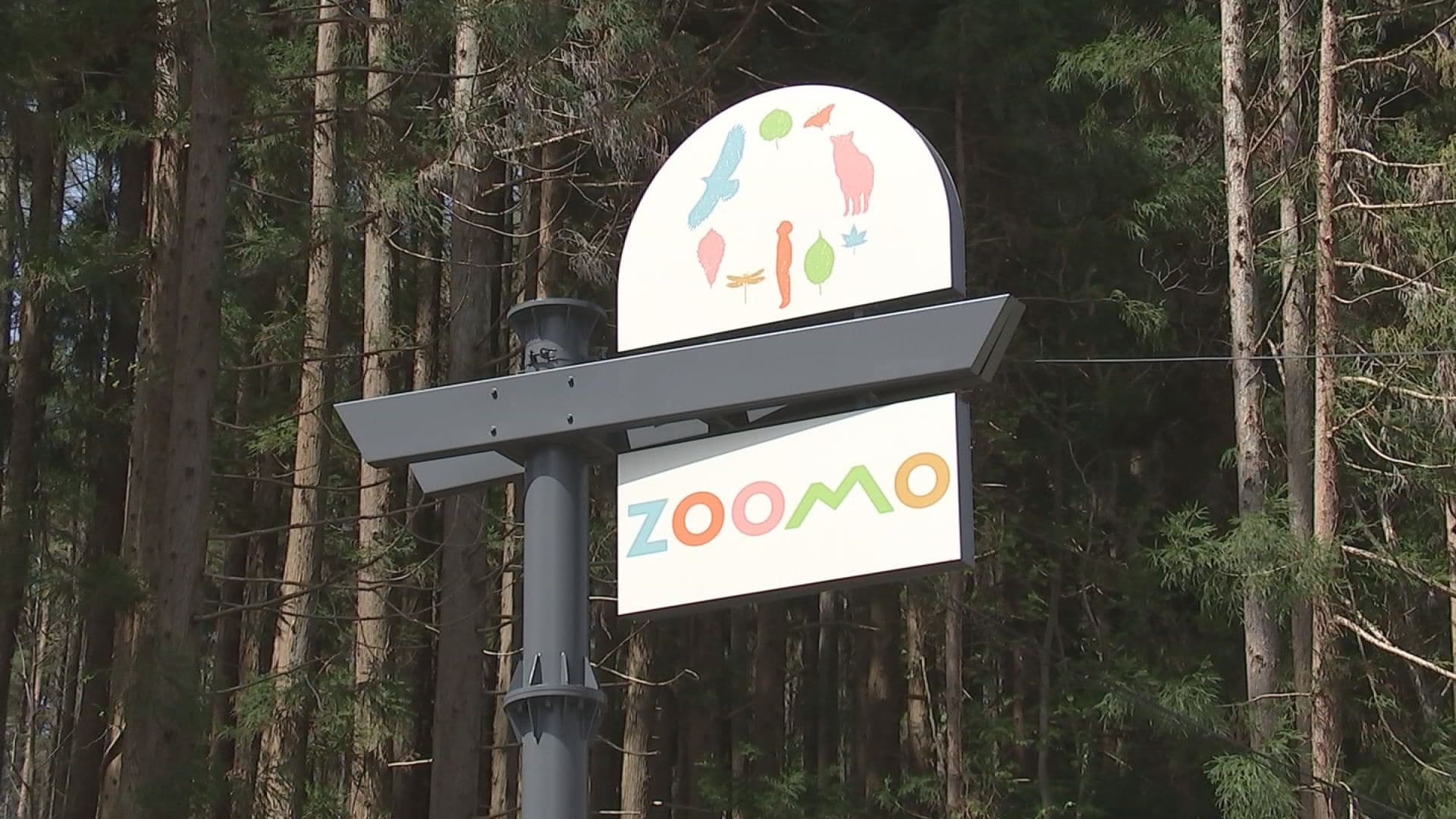 動物園にクマ侵入か 壁に爪痕 盛岡市動物公園ZOOMOが9日まで臨時休園 | TBS NEWS DIG