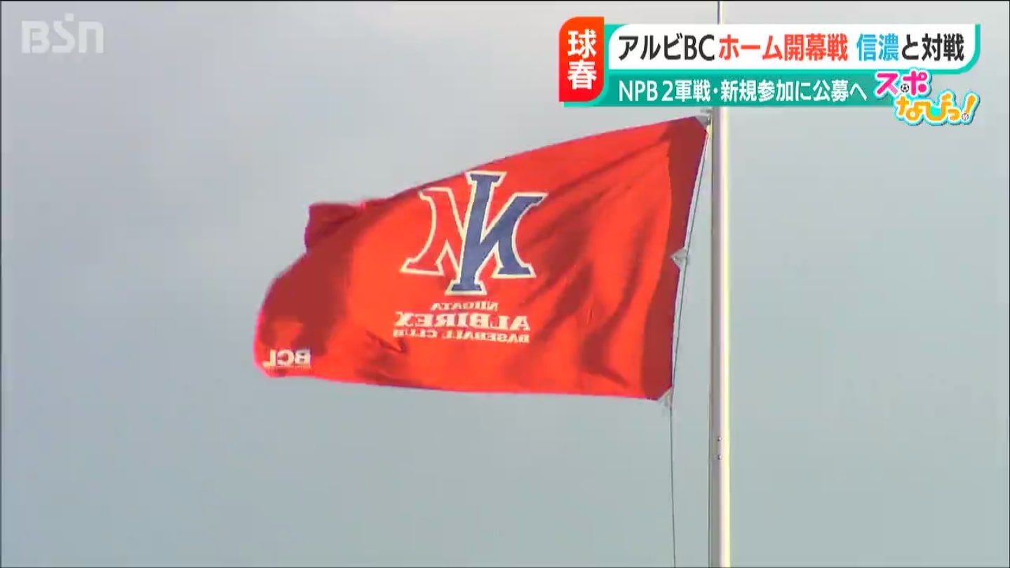 「球団創設以来の長年の夢」新潟アルビレックスBC NPBへの『2軍』参加応募へ | TBS NEWS DIG