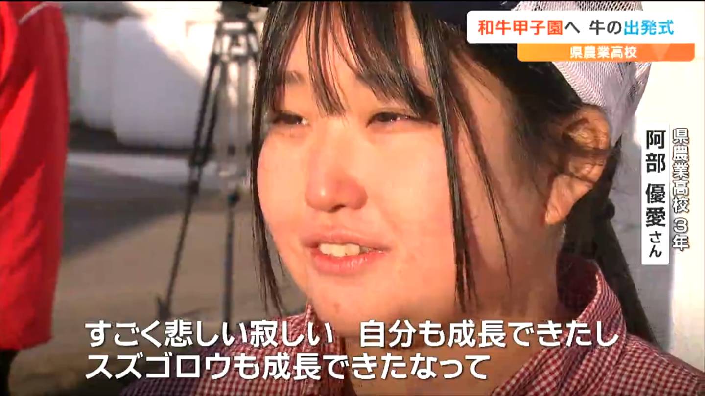 「ありがとうと伝えた」農業高校生が育てた牛の『ススゴロウ』830キロまで成長 和牛甲子園に出発 宮城（tbc東北放送）｜dメニューニュース（NTTドコモ）